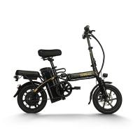 China Design Rear Carrier Electric City Bike with 48v Battery and 2.75-14 Tubeless Tire for sale
