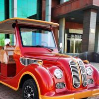 China Electric Classic Sightseeing Vintage Car GCC 4 Seats Tourist Coach with Performance for sale