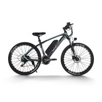 China Customized 26 Inch Shifting 60V1000W Electric Power Mountain Bike with Lithium Battery for sale