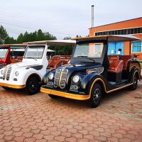 China 800kg Curb Weight Electric 10 Seater Golf Cart for Standards and DOT Certification for sale