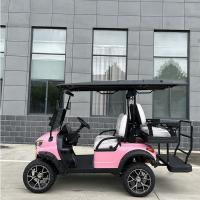 China Equipped Standing Postion of Tail Caddie Best Electric Golf Cart for Fast and Golfing for sale