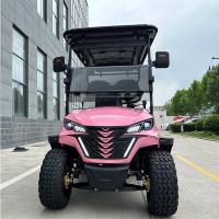 China Equipped Standing Postion of Tail Caddie Best Electric Golf Cart for Fast and Golfing for sale