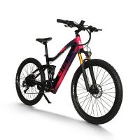 China Professional Aluminum Alloy Frame 48V Road Bike With Single Speed Gears and Disc Brake for sale