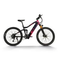 China Professional Aluminum Alloy Frame 48V Road Bike With Single Speed Gears and Disc Brake for sale