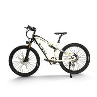 China Design Electric Bicycle 48v500w Two Wheeled Motor Intelligent Electric Motorcycle for sale