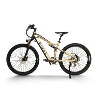 China Design Electric Bicycle 48v500w Two Wheeled Motor Intelligent Electric Motorcycle for sale