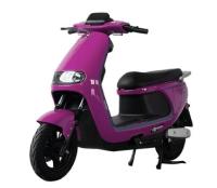 China Lake Horse 's Electric Motorcycle 70-80Km Running Distance Front and Rear Drum Brakes for sale