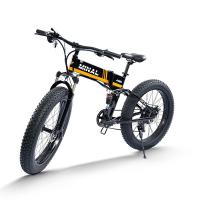 China 60V20AH Lead-acid Battery Electric City Bicycle for Adult Urban Transportation for sale