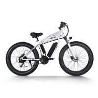 China Electric Scooter Sales 48v High Speed Electric Bike Battery For Ebike Conversion Kit for sale