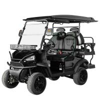 China Max.Speed 25km/h 2 2 Electric Golf Cart Buggy with Standing Postion of Tail Caddie for sale