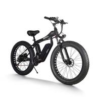 China 60V12tubes Controller 48V350W10.5A 01 Fat Tire Rear Hub Motor Electric Bike Kids Gift for sale