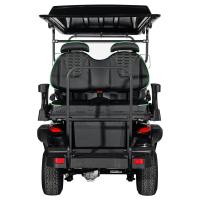 China Max.Speed 25km/h 2 2 Electric Golf Cart Buggy with Standing Postion of Tail Caddie for sale