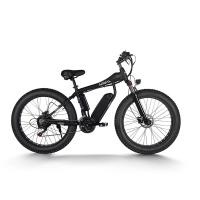 China 60V12tubes Controller 48V350W10.5A 01 Fat Tire Rear Hub Motor Electric Bike Kids Gift for sale