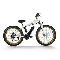 China 60V12tubes Controller 48V350W10.5A 01 Fat Tire Rear Hub Motor Electric Bike Kids Gift for sale