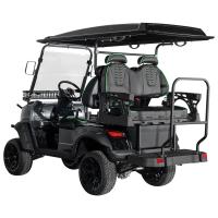 China Max.Speed 25km/h 2 2 Electric Golf Cart Buggy with Standing Postion of Tail Caddie for sale