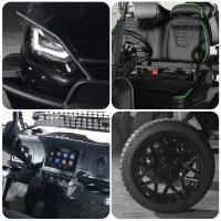 China Max.Speed 25km/h 2 2 Electric Golf Cart Buggy with Standing Postion of Tail Caddie for sale