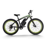 China Disc Brake Fat Tire E-bike 48V350W10.5A for City Riding Urban Electric Bicycle for sale