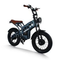 China Experience the Power of E-Bike X5 48v500w15a 05 for Foreign Trade 60V1000W Motor Power for sale