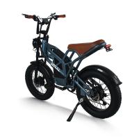 China Experience the Power of E-Bike X5 48v500w15a 05 for Foreign Trade 60V1000W Motor Power for sale
