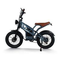 China Experience the Power of E-Bike X5 48v500w15a 05 for Foreign Trade 60V1000W Motor Power for sale