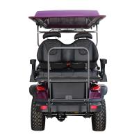 China High Rebound Leather Fabric Electric Golf Carts With Maximum Speed ≤30Km/h And Design for sale