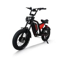 China Electric Bicycle Compact X9 48v500w15a 05 Max.rated load 230KG Waterproof City Bike for sale