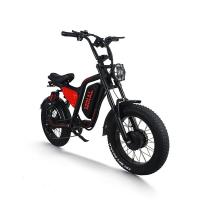 China Electric Bicycle Compact X9 48v500w15a 05 Max.rated load 230KG Waterproof City Bike for sale
