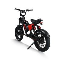 China Electric Bicycle Compact X9 48v500w15a 05 Max.rated load 230KG Waterproof City Bike for sale
