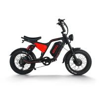 China Electric Bicycle Compact X9 48v500w15a 05 Max.rated load 230KG Waterproof City Bike for sale