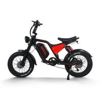 China Electric Bicycle Compact X9 48v500w15a 05 Max.rated load 230KG Waterproof City Bike for sale