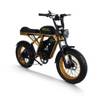 China Bicycle Electric Bike Ebike Compact X8 48v750w15a 06 with Overall Dim 1720*350*920mm for sale