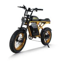 China Bicycle Electric Bike Ebike Compact X8 48v750w15a 06 with Overall Dim 1720*350*920mm for sale