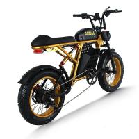 China Bicycle Electric Bike Ebike Compact X8 48v750w15a 06 with Overall Dim 1720*350*920mm for sale