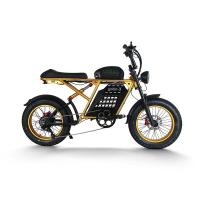 China Bicycle Electric Bike Ebike Compact X8 48v750w15a 06 with Overall Dim 1720*350*920mm for sale