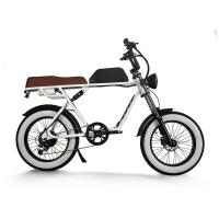 China Steel Frame Mountain Buggy 20 Inch Li-Ion Battery Powered E-Bike for Active Adults for sale