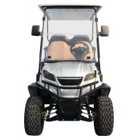China Fuel Type Electric 4 Seater 2x2 Lithium Battery Hunting Electric Golf Cart Off Road for sale