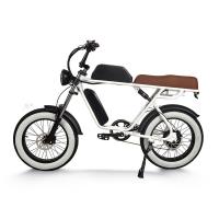 China Steel Frame Mountain Buggy 20 Inch Li-Ion Battery Powered E-Bike for Active Adults for sale