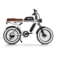 China Steel Frame Mountain Buggy 20 Inch Li-Ion Battery Powered E-Bike for Active Adults for sale