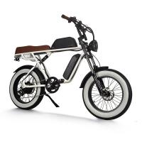 China Steel Frame Mountain Buggy 20 Inch Li-Ion Battery Powered E-Bike for Active Adults for sale