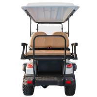 China Fuel Type Electric 4 Seater 2x2 Lithium Battery Hunting Electric Golf Cart Off Road for sale