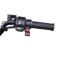 China 48v Electric Mopeds Adult E Motorbike with Powerful Motor and Max. Speed 40-60km/h for sale