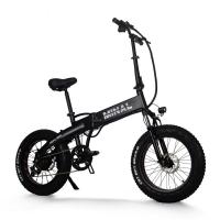China Off-Road Mountain Electric Bike with Single Speed Gears and Front/Rear Disc Brakes for sale