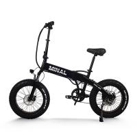 China Off-Road Mountain Electric Bike with Single Speed Gears and Front/Rear Disc Brakes for sale