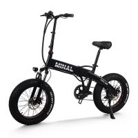China Off-Road Mountain Electric Bike with Single Speed Gears and Front/Rear Disc Brakes for sale