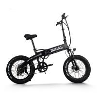 China Off-Road Mountain Electric Bike with Single Speed Gears and Front/Rear Disc Brakes for sale