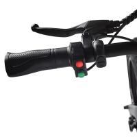 China Unleash Your Inner Adventurer with Our 20 Inch Lithium Battery Mountain Off-Road Bike for sale