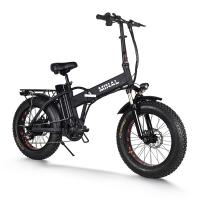 China Disc Brake 20-inch Direct Mountain Cross-Country Adult Geared Lithium Battery Power for sale