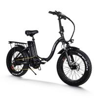 China Li-Ion Battery Assisted Mountain Electric Bike with 20 Inch Wheels and Shift Speed for sale