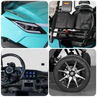 China 6 Seater Lithium Battery Lifted Golf Buggy Car Electric Hunting Golf Cart 3695*1340*2060MM for sale