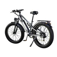 China All Terrain Snowfield Electric Bicycle with 26-Inch Aluminum Alloy Frame and Disc Brake for sale